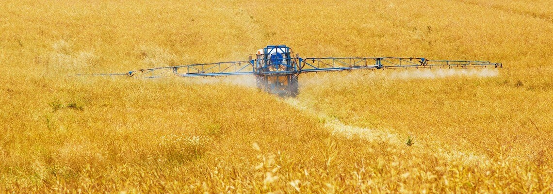 Understand | The FAN Initiative